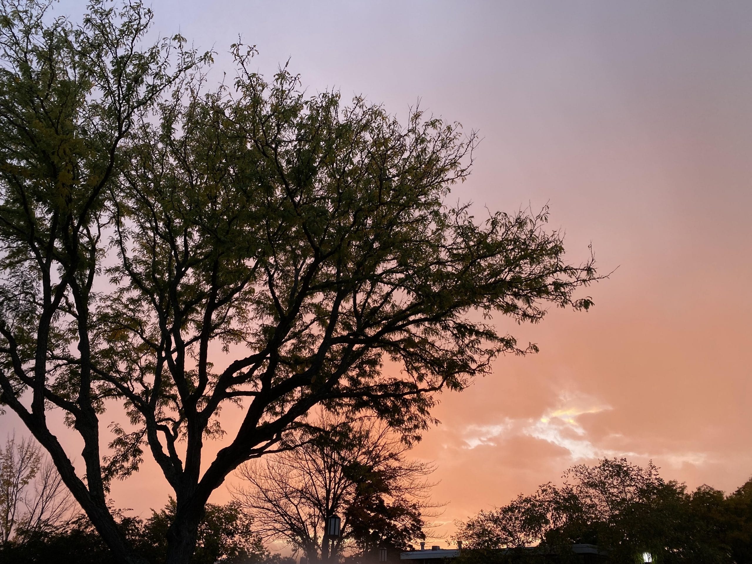 Song Shu – Asian Labour Review